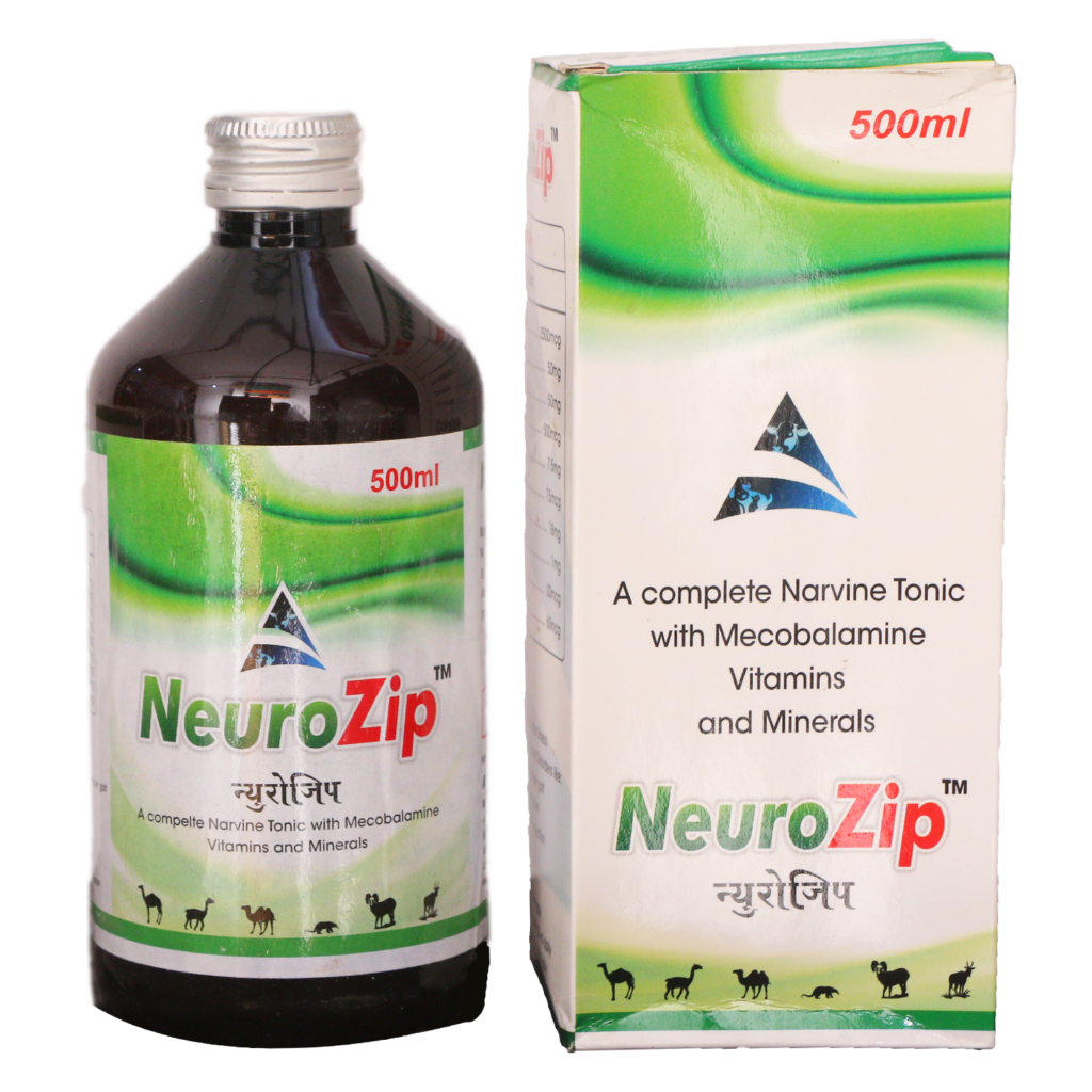 Neuro Zip Syrup – EVAVET HEALTHCARE PVT LTD